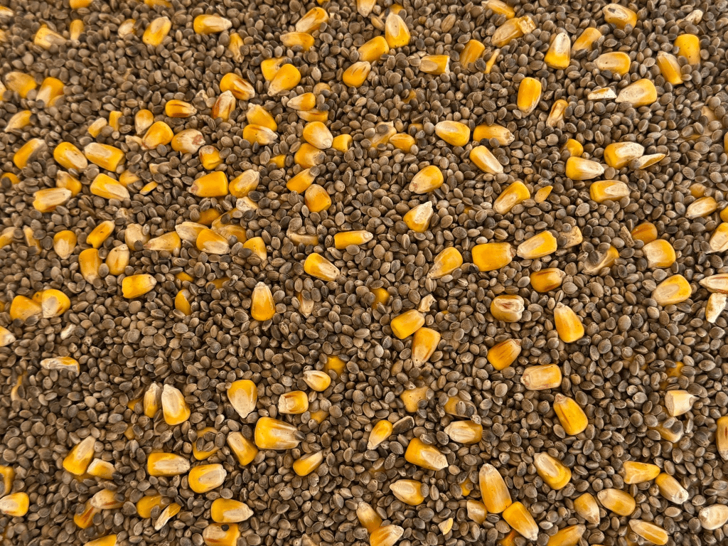 Hemp & Maize - Carp Junky