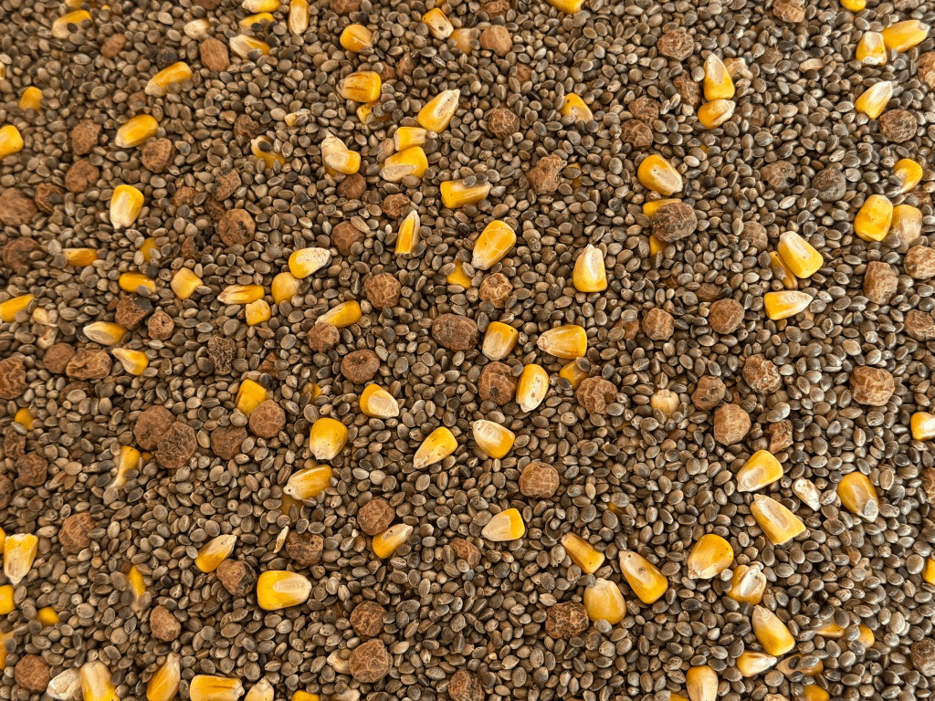 Hemp, Maize & Tigers - Carp Junky